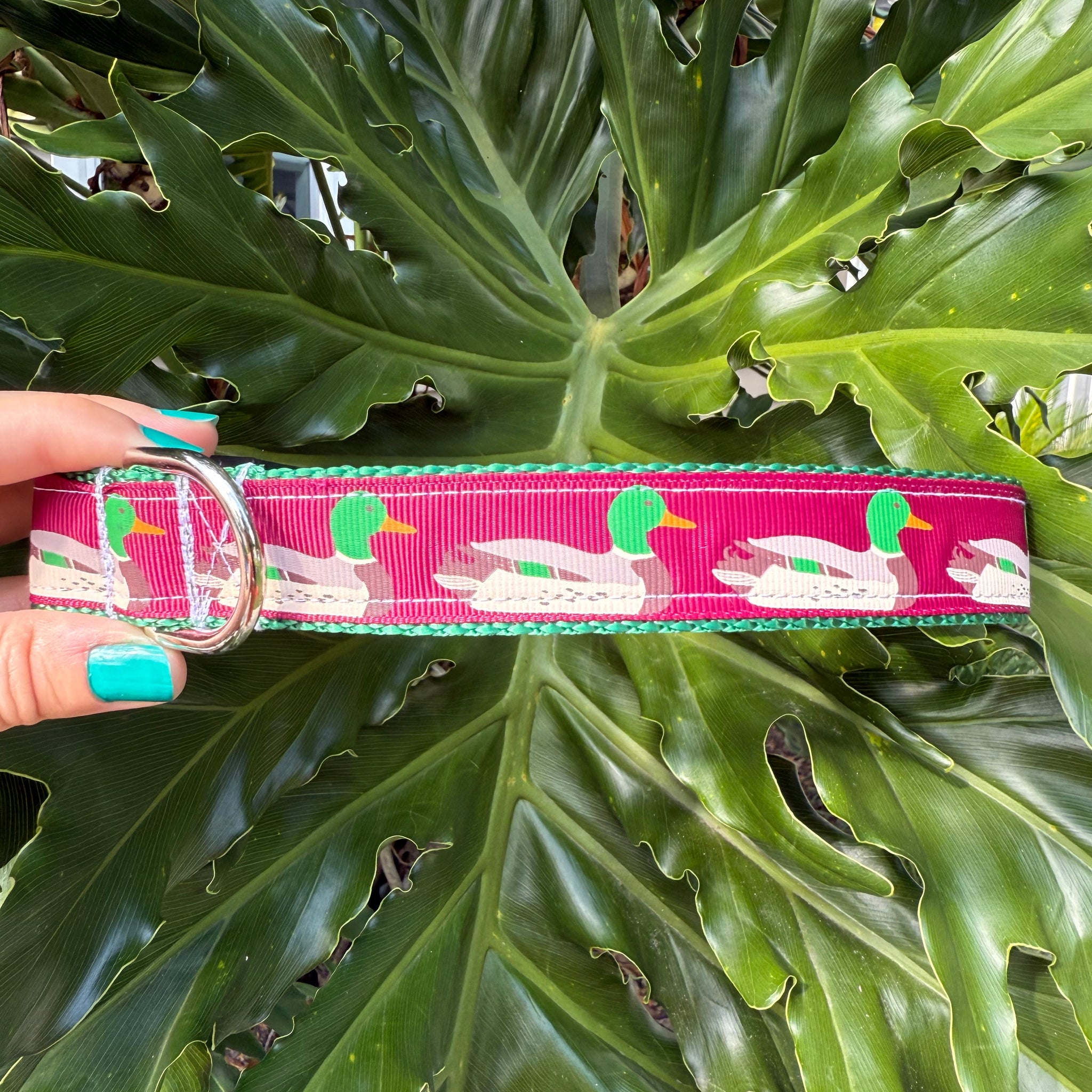 Duck Decoy Dog Collar – Lucy Lou's Designs